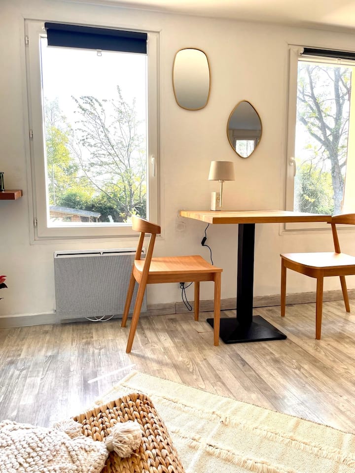 Charmants Studios Proches Lille - Faches-Thumesnil