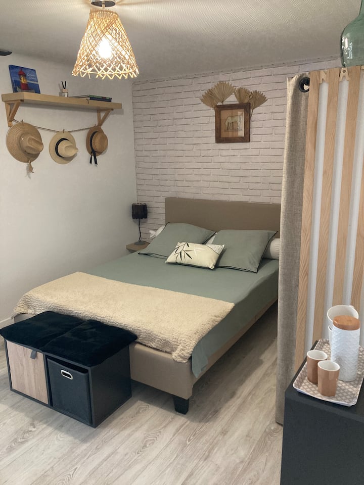 Chambre Confortable En R.d.c, Salle De Bain Privée - Céret