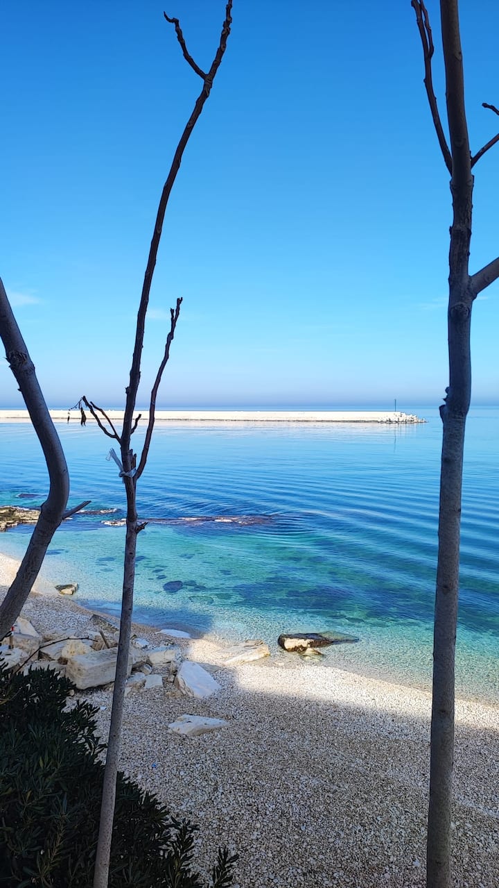 Casa Ale - Bisceglie