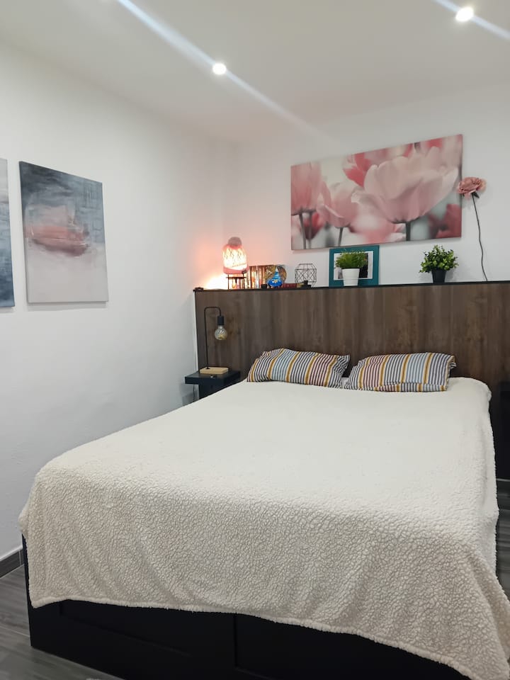 Habitación Grande En El Centro - Alicante
