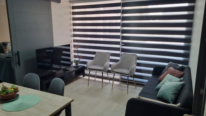 Departamento De 2 Habitaciones Palacio La Moneda - Santiago