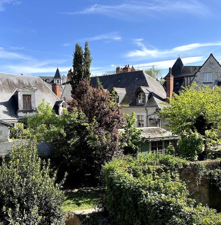 Appartement à 2 Pas De La Cathédrale - Tours