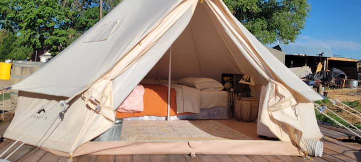 Da Shabby Moose Villa Tent 1 - Palisade