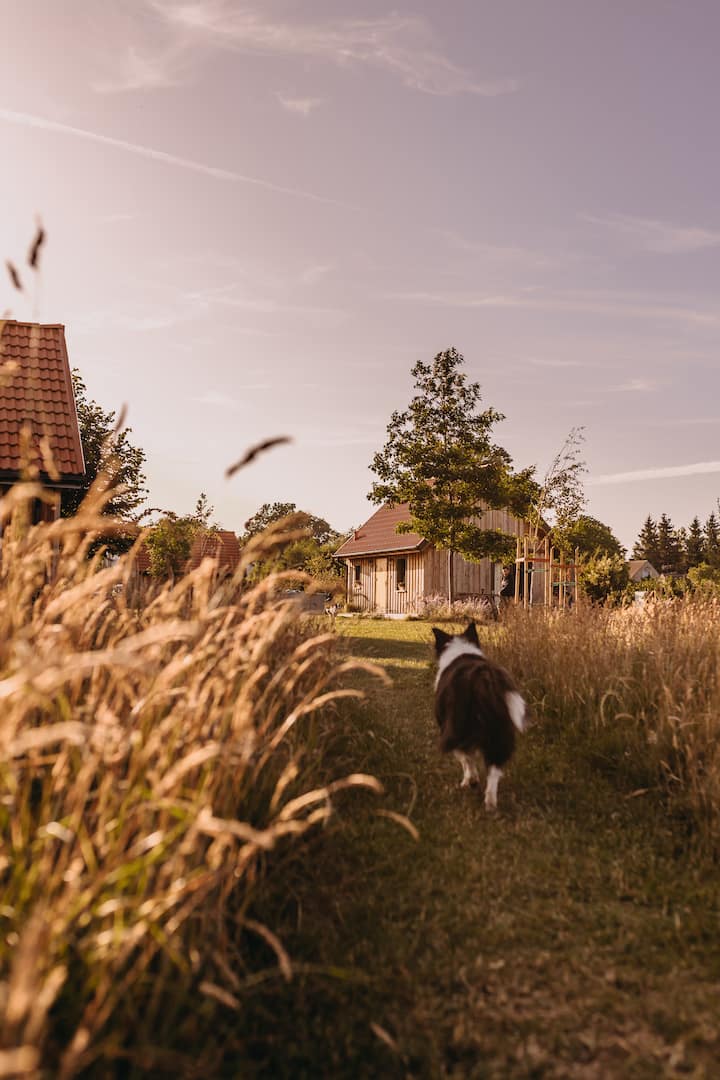5. Domek W Otoczeniu Zieleni Rewal - Niechorze