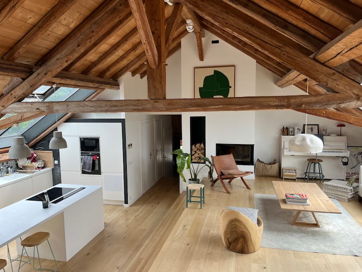 Loft De Charme Sous La Charpente - Annecy-le-Vieux