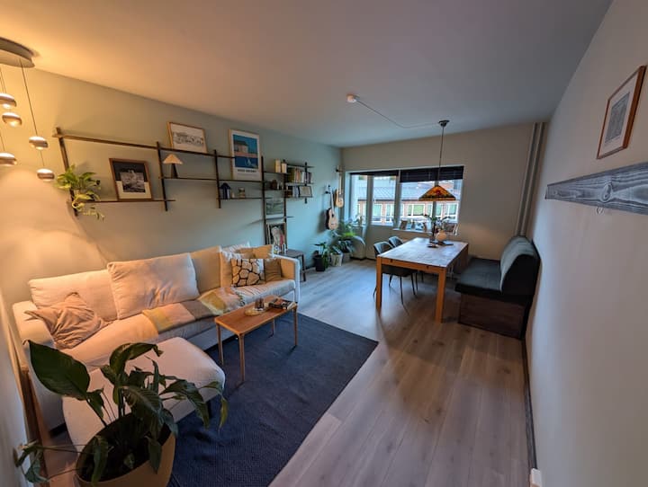 Central Apartment In Oslo! Free Parking - Oslo