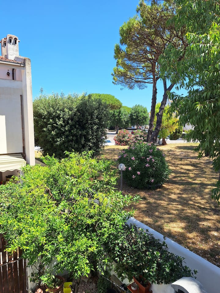 Estate A Cerenova - Ladispoli