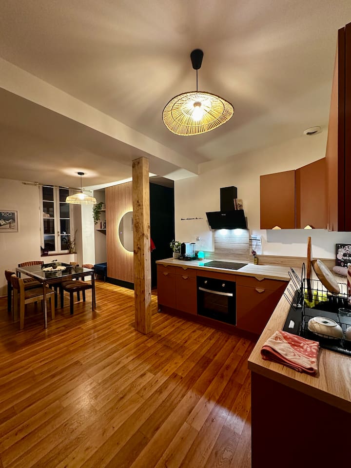 Appartement Centre-ville Et Gave - Oloron-Sainte-Marie