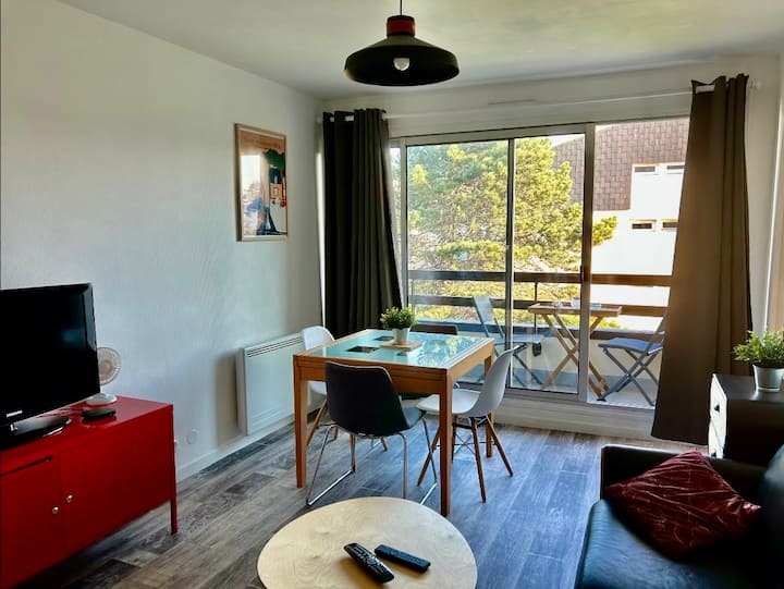 Appartement Renové, 1 Chambre, Balcon, Mer à 400m. - La Baronnie