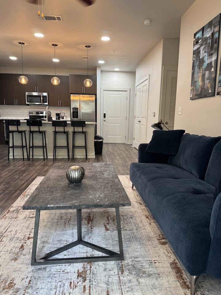 Modern High-end Corporate Condo - Southern Methodist University, Dallas