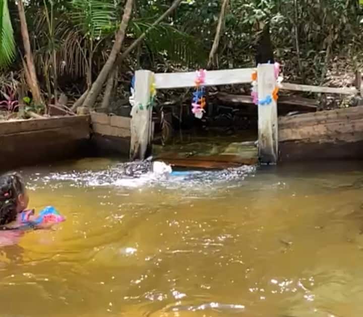 Chalé Com Piscina Natural Ma - Carolina