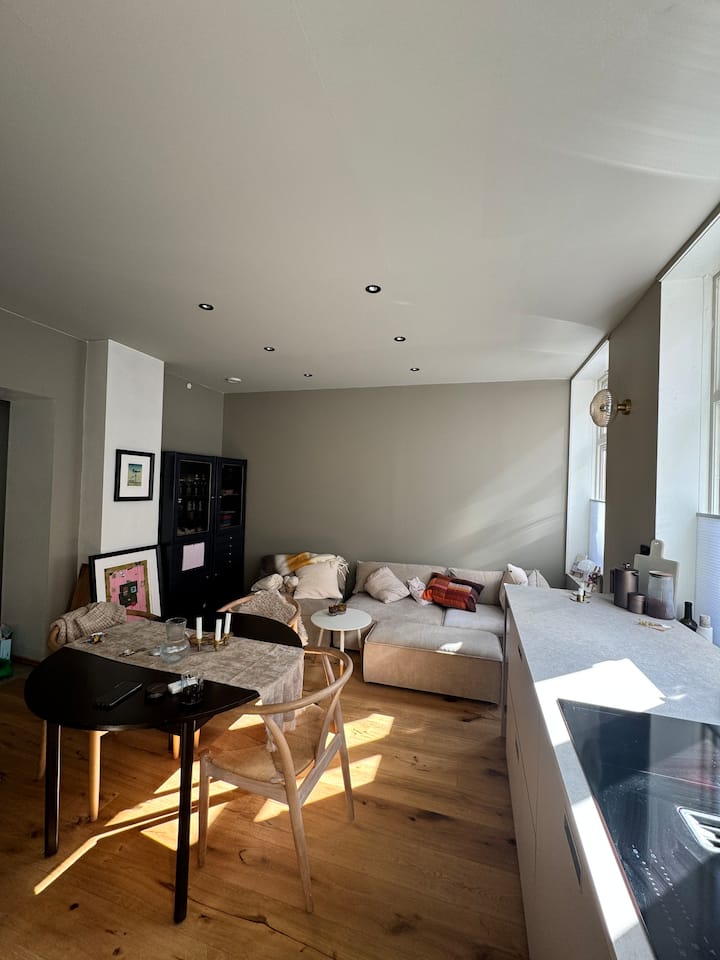 Stilfuld Lejlighed Centralt I Oslo. - Oslo