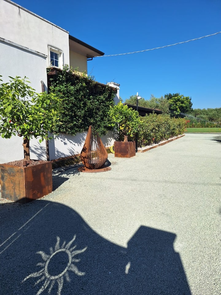 Dily House - Carrara