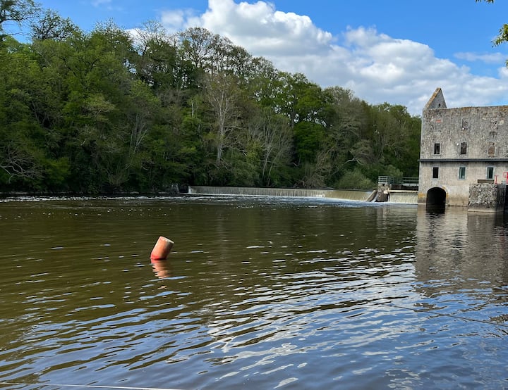 Gîte Du Moulin - Mayenne