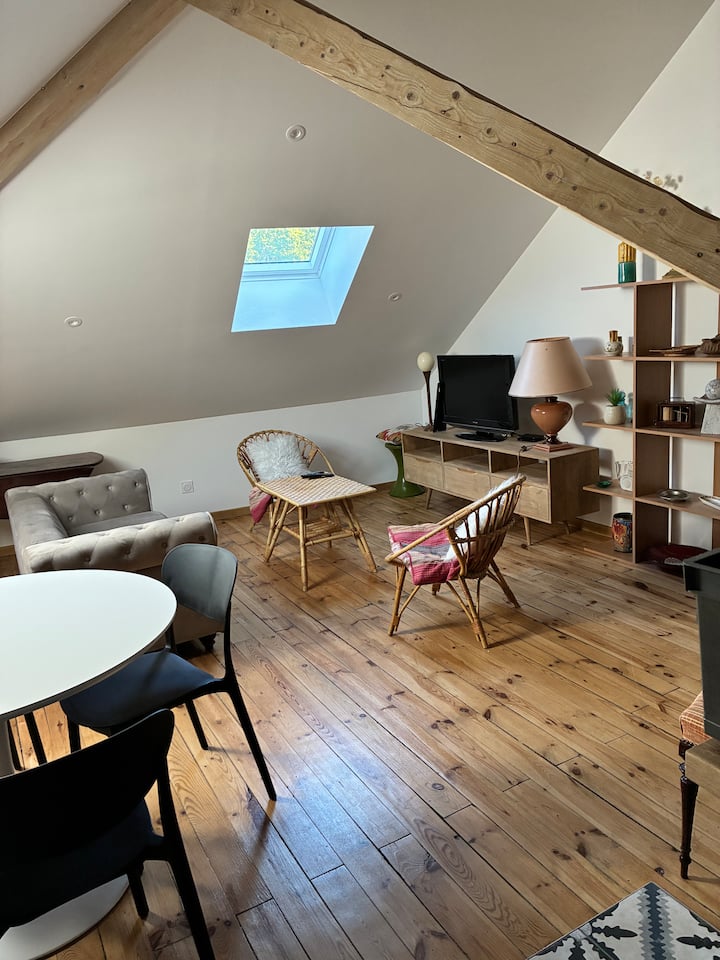 Charmant Appartement Cosy. Centre-ville. Parking. - Haute-Loire