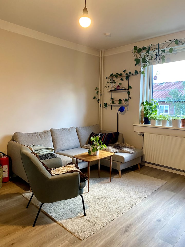 Leilighet Rett Ved Botanisk Hage - Oslo