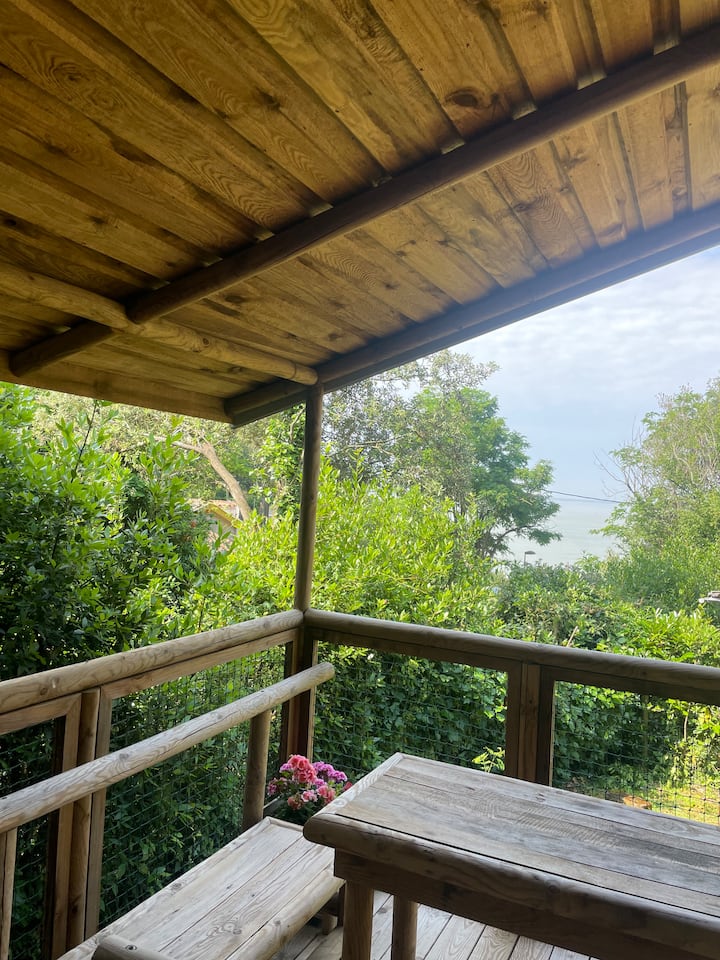 Cabane Avec Aperçu Estuaire - Royan