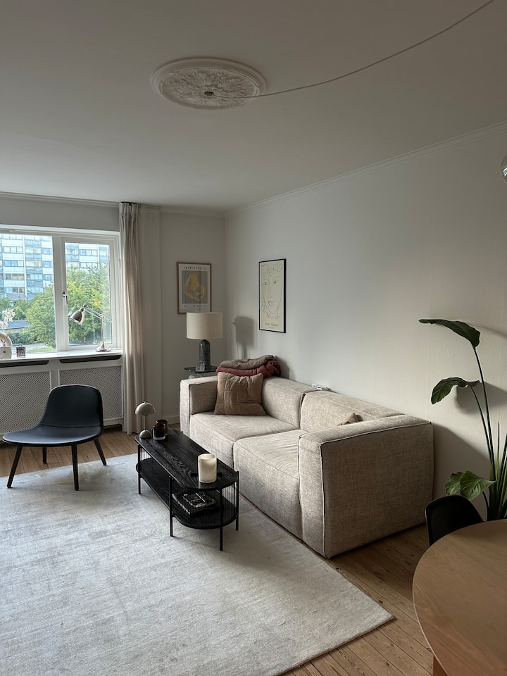 Lys Og Rummelig Lejlighed - Copenhague