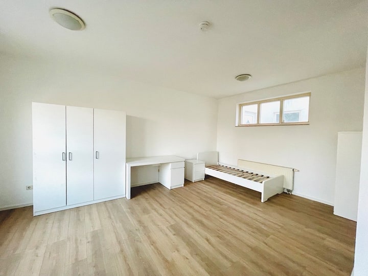 Lichtgeflutete Wohnung Mit Klasse Und Viel Platz - Ludwigshafen