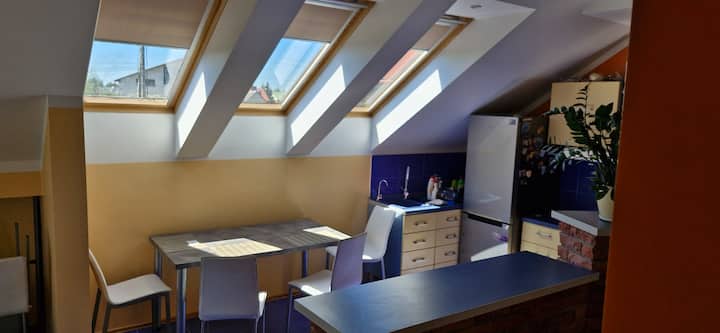 Family Comfort 110m² Stay - Kaunas