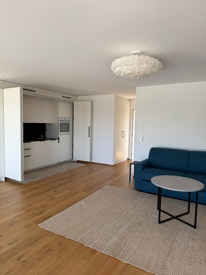 Studio + Rooftop - Canton de Fribourg