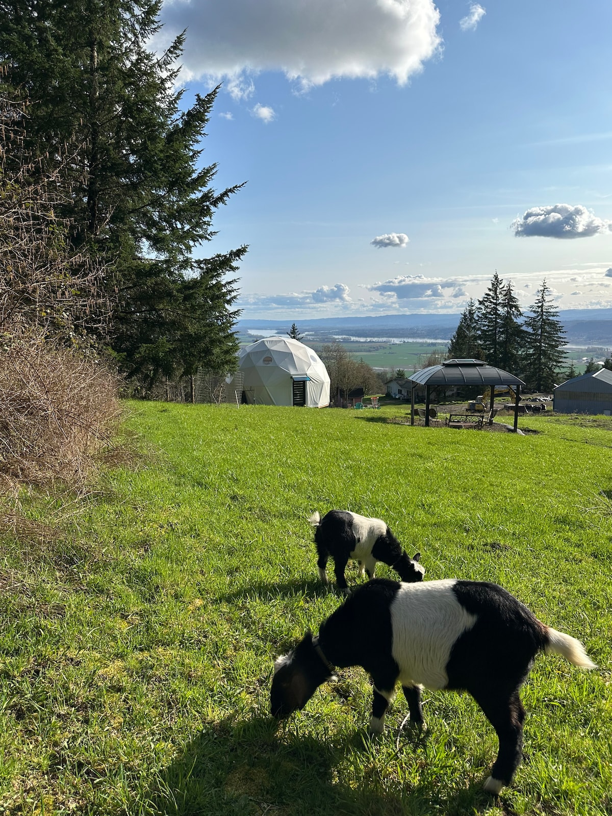 River View Dome Goode Time Ranch - Airbnb