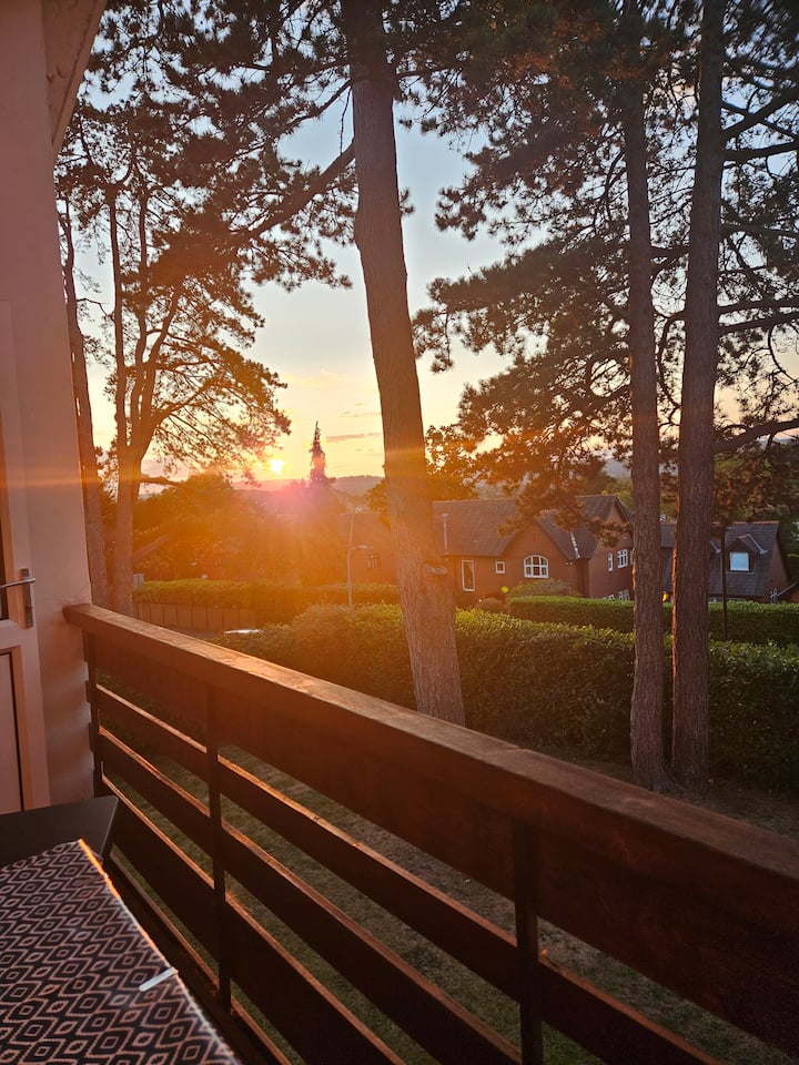 Tegan & Caramels Guest House. 1 King & 1 Double. - Cardiff