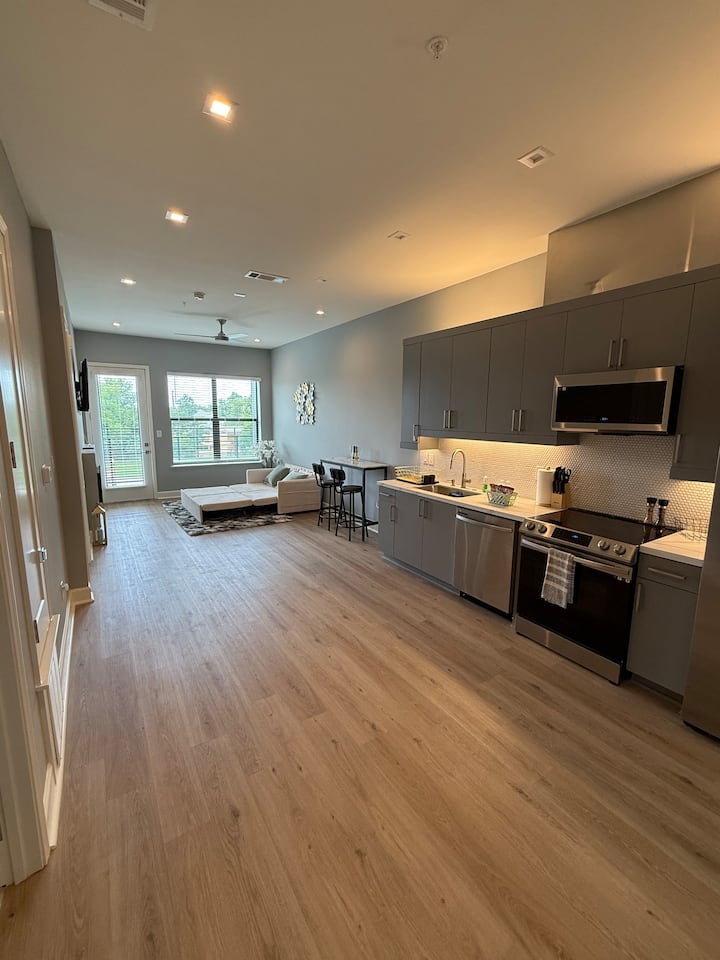 Luxury Apartment Downtown Dallas - Dallas, TX