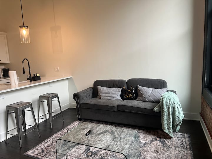 Liberty Lofts 1 Bedroom Apt 202 W/sofa Bed - Cleveland