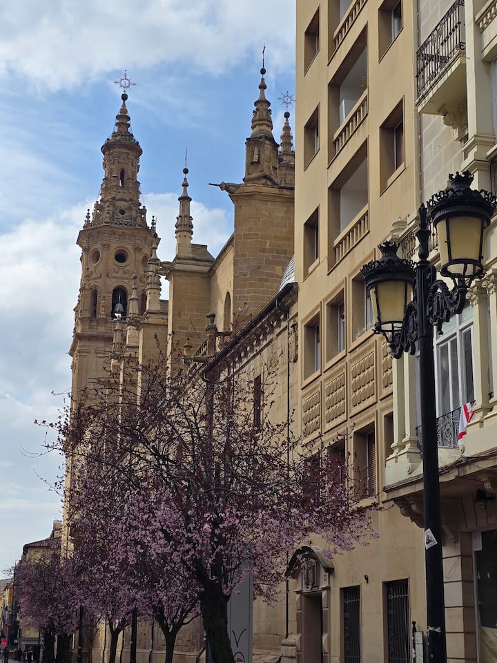 Juan Lobo - Logroño