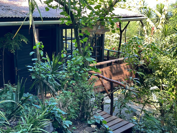 Accès Mer - Vélos/scooters éLectriques + Canoë - French Polynesia