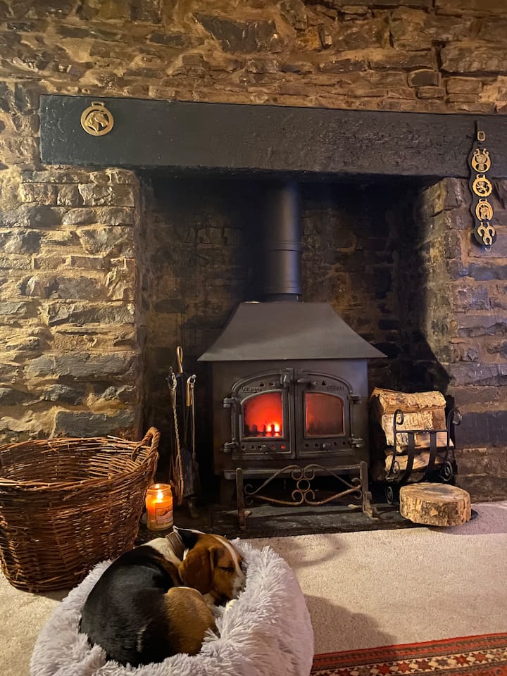 Oxlips, In Chittlehampton - Barnstaple