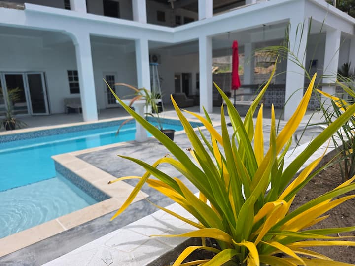 Royal 1 - Chez Mango Villa - Montserrat