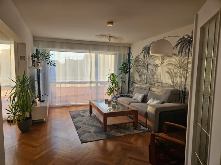 Appartement Calme Et Spacieux. - Metz