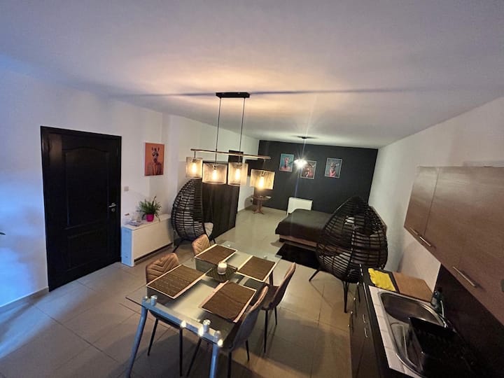 Appartement Spacieux Mons - Parking & Terrasse - Mons