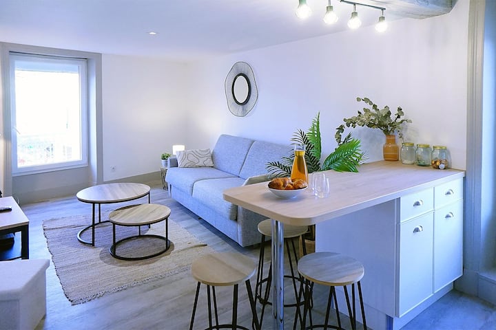 Studio éLégant Roanne - Roanne