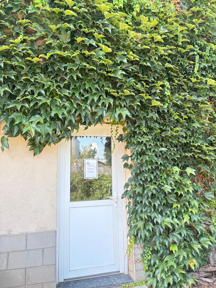 Studio Centre Ville - Echezeaux B - Paray-le-Monial