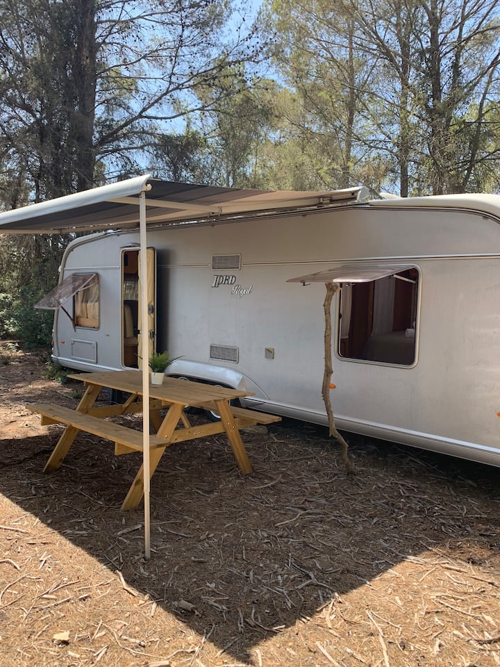 4p Mobile Home With Pool And Shared Bathroom - Ibiza