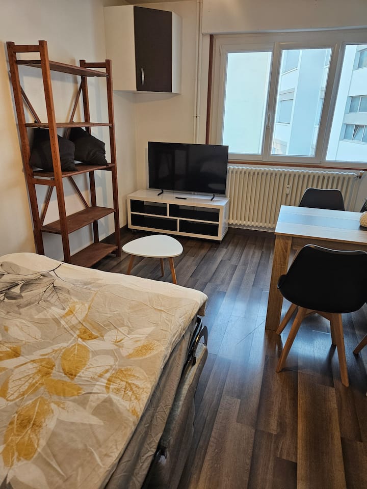 Studio Léman - Annemasse