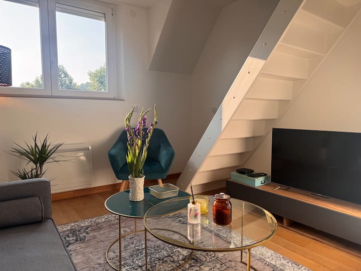 Duplex Cosy En Plein Centre-ville / Hec & Tecomah - Jouy-en-Josas