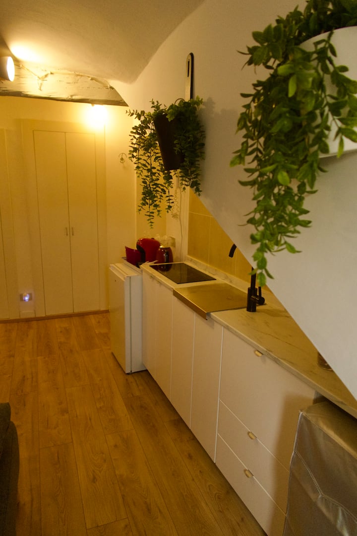 Gran Mini Suite - Turin