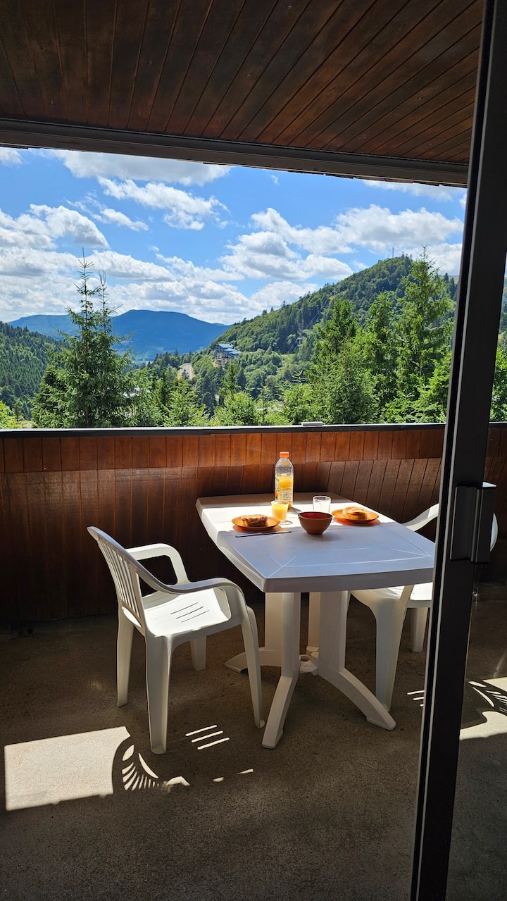 Studio–terrasse Avec Vue-parking - Haut Station - Le Lioran (Super Lioran)