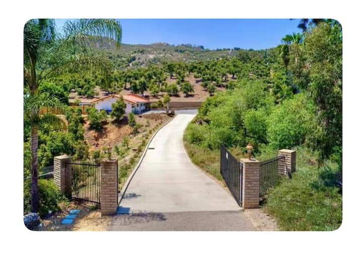 Exclusive Wine Country, Utilities/internet Incl - Escondido, CA