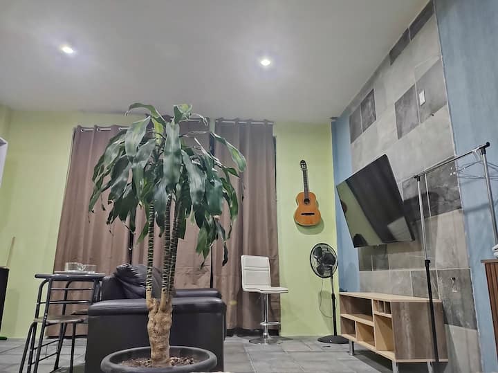 Departamento Ejecutivo. - Pachuca