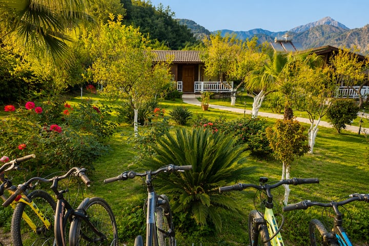 ÇıRalı Villa - Doğa Içinde Villa 8 - Çıralı