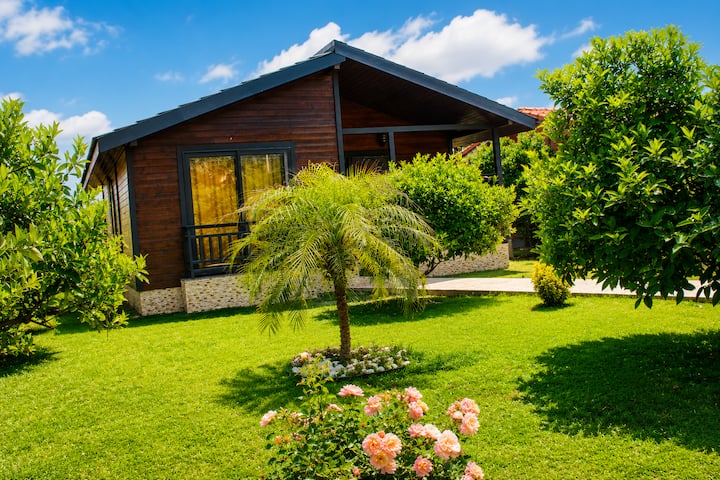 ÇıRalı Villa - Doğa Içinde Villa 9 - Çıralı