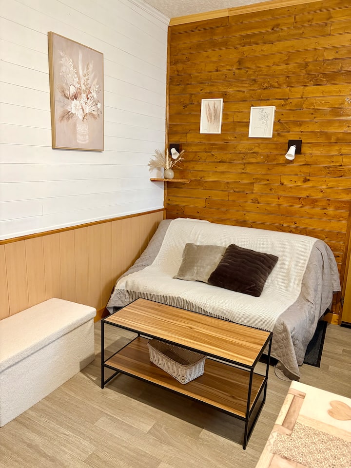 Villa Angel, Appart 2 Personnes Avec Cour Privée - La Bourboule