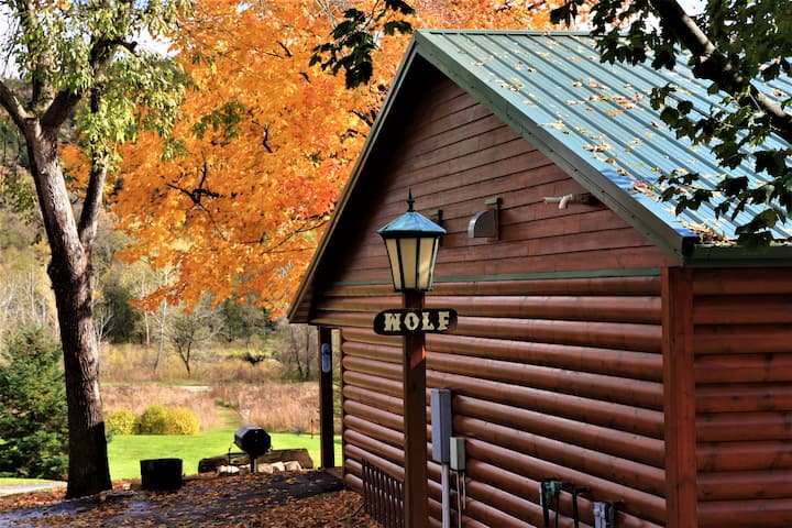Wolf Cabin - Cedar Valley Resort - Lanesboro, MN