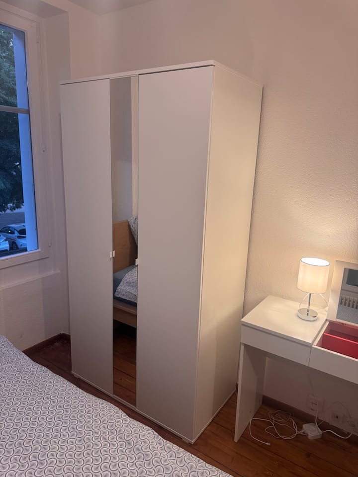 Logement Tranquille En Plein Cœur De Genève - Carouge