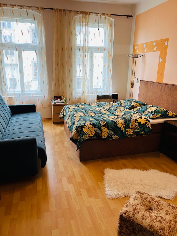 Cozy Bright Flat Directly In The City Center - Karlovy Vary